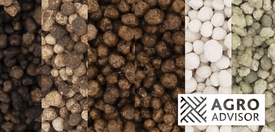 Phosphate Fertilizer